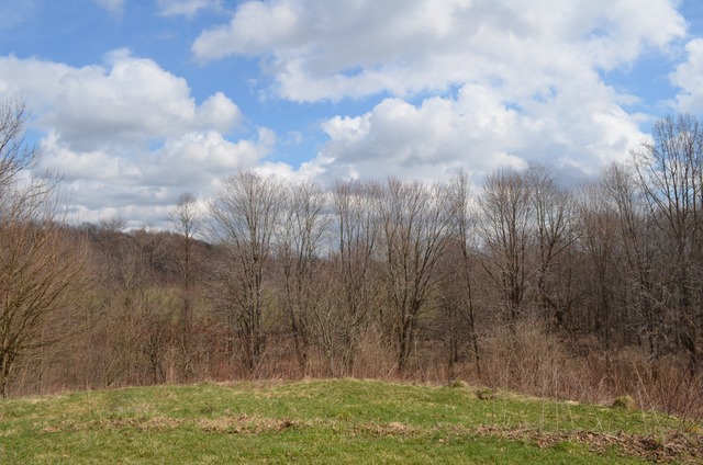 Sprawing Ranch on 62 Acres with Lake | JS English Company